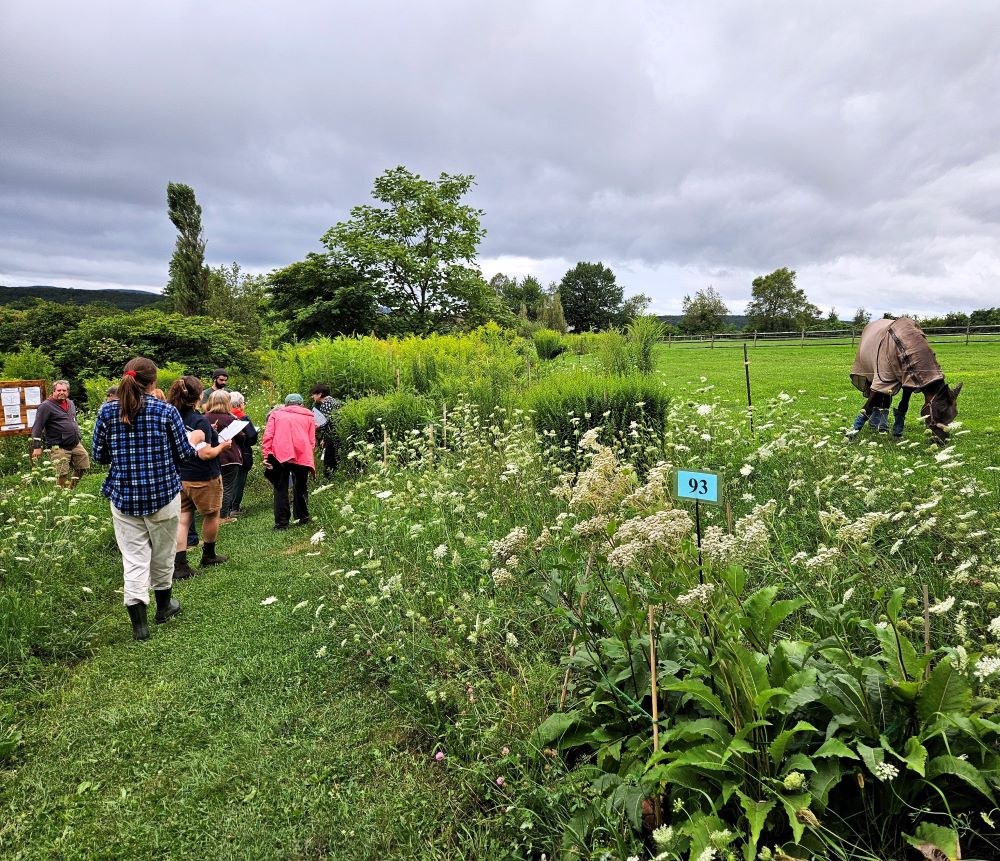 Guided Garden Tour – Native Plants