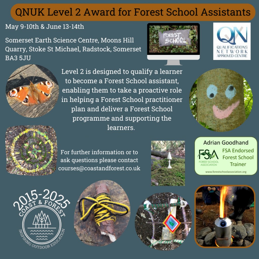 Upcoming FSA Endorsed Training and CPD courses | Forest School Association