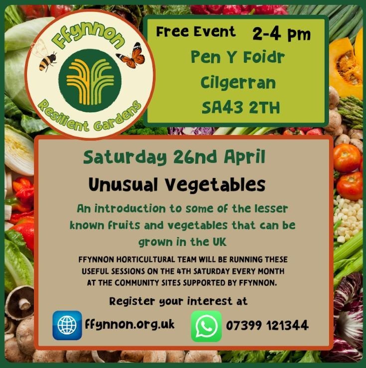 67b4488c8de9fec52f0d3fe4.jpg?1745338515