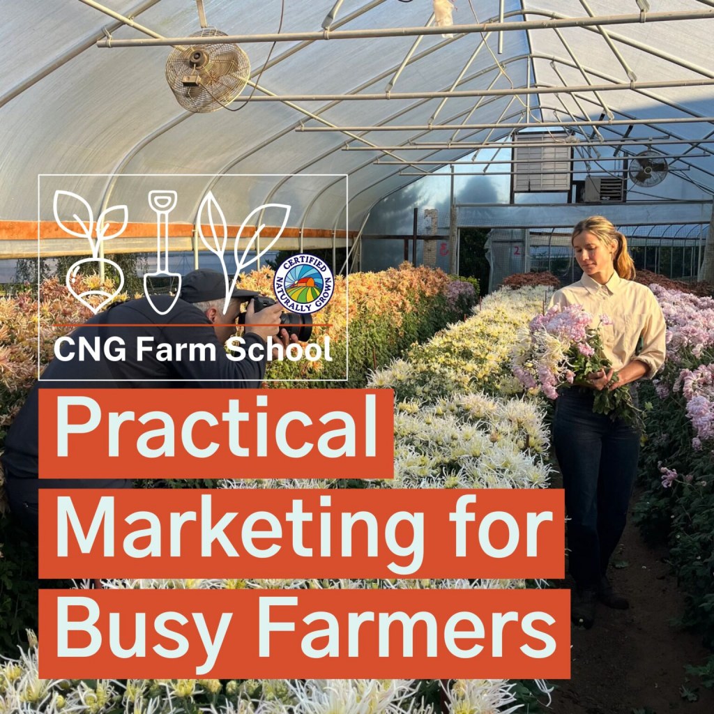 67b8a3ac01ad8acc0607623b.jpg?1740153772