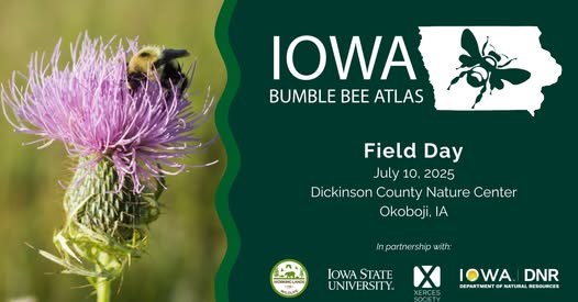 Iowa Bumble Bee Atlas Field Day – Dickinson County Conservation Board