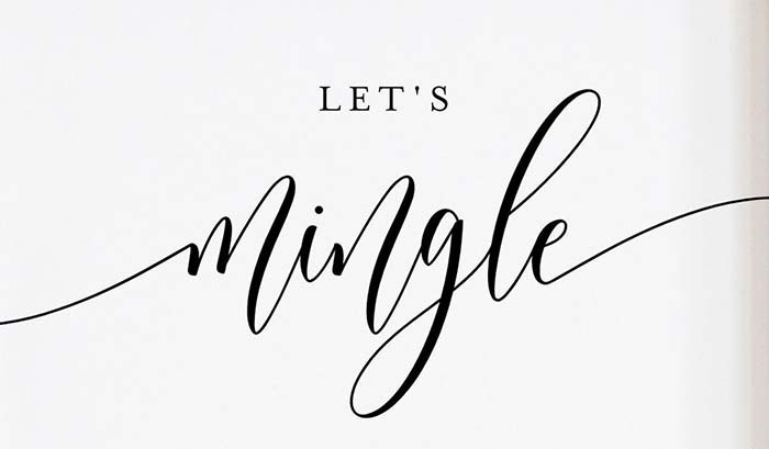 Image for MEMBER MINGLE ... MVBWN Mission, Vision and future direction