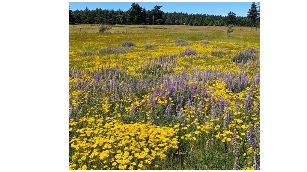 67d77896da3fbcdb6d0d1407.jpg?1748796266