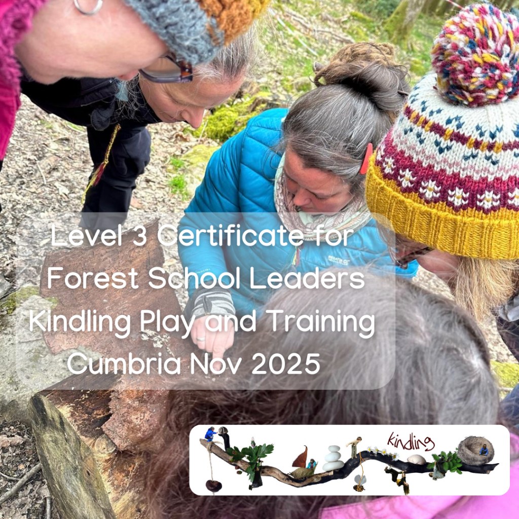 Upcoming FSA Endorsed Training and CPD courses | Forest School Association