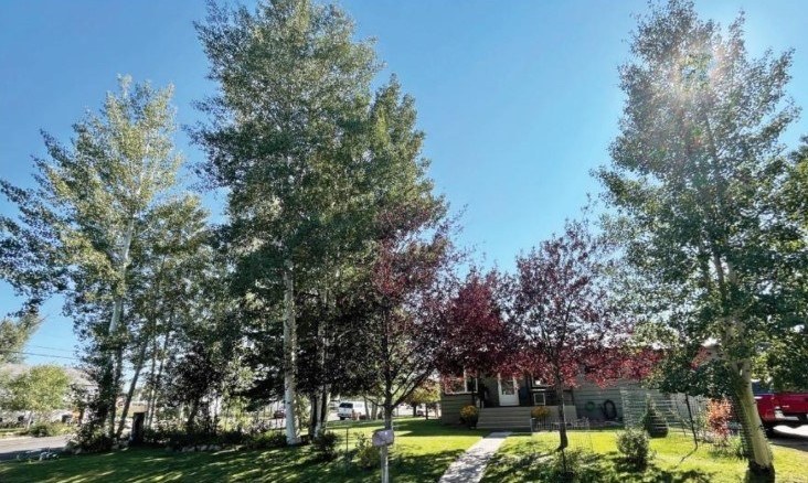 Image for Native Gardens Act 2