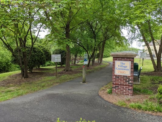 Image for Hector Henry Greenway and Meditation