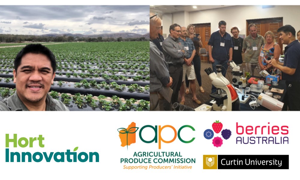 WA: Strawberry Grower Disease Identification & Fungicide Spray Program ...