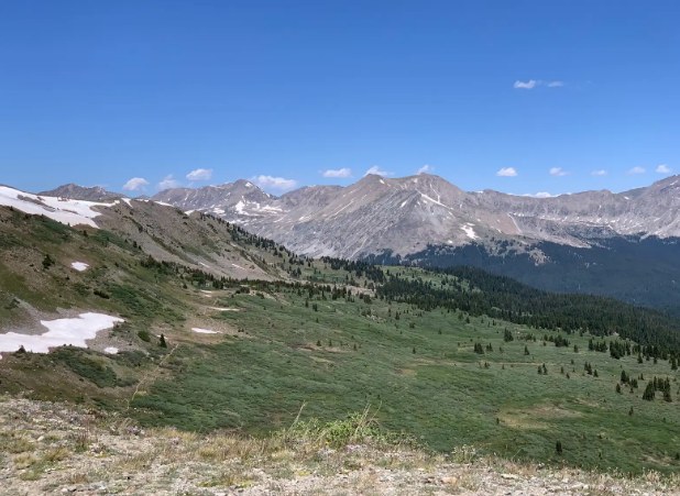 Image for Arkansas Valley Chapter - Cottonwood Pass Wetland Meadow