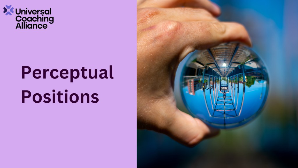 Image for Perceptual Positions