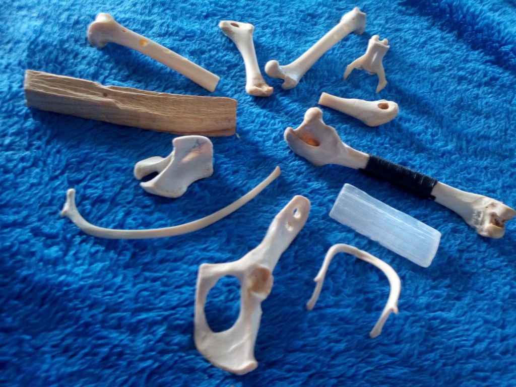 Events | Spiritualism New Zealand