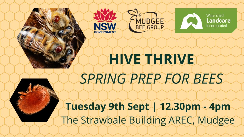 Hive Thrive – Spring Prep for Bees – Watershed Landcare Incorporated