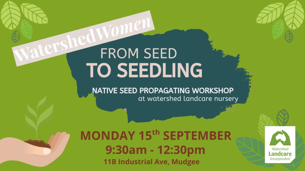 From Seed to Seedling| Watershed Women – Watershed Landcare Incorporated