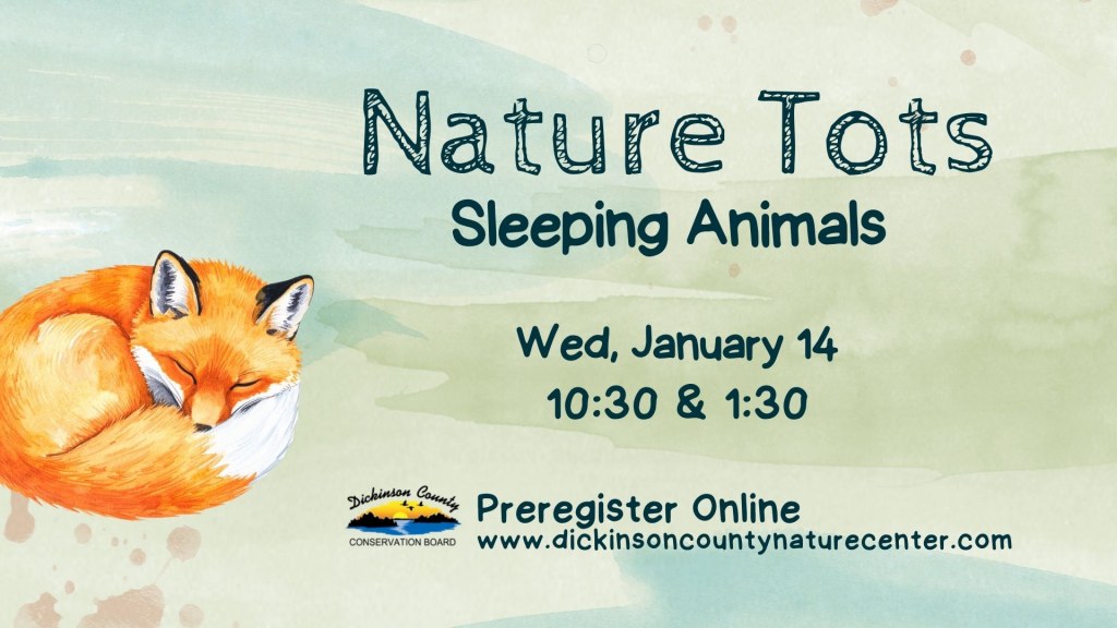 Nature Tots: Sleeping Animals – Dickinson County Conservation Board