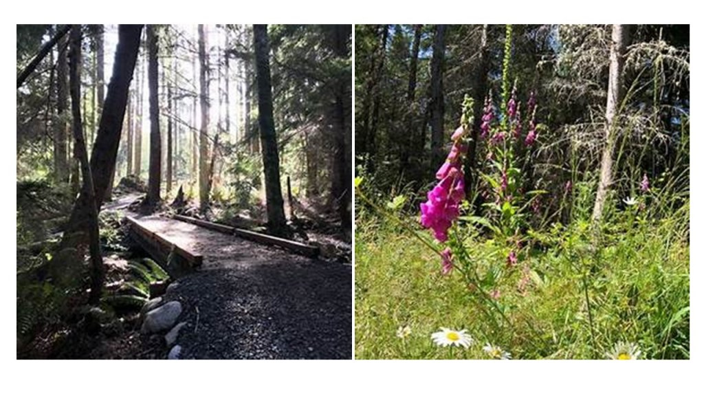 68a3f0fefa2fffc84e0d244b.jpg?1755574526