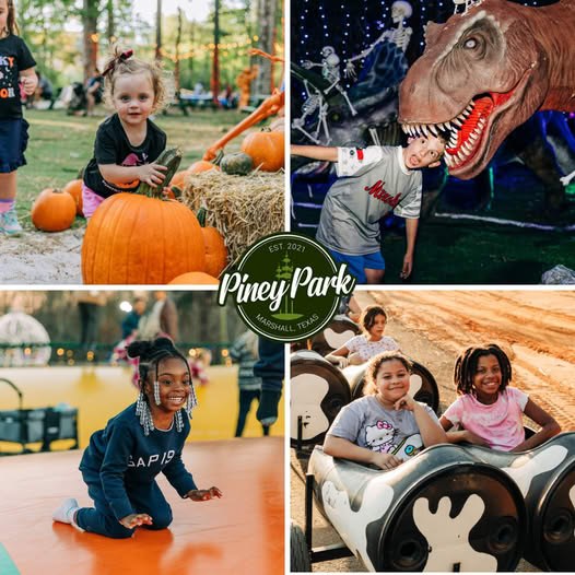 Piney Park Spooky Trail & Pumpkin Patch Opening - Greater Marshall ...