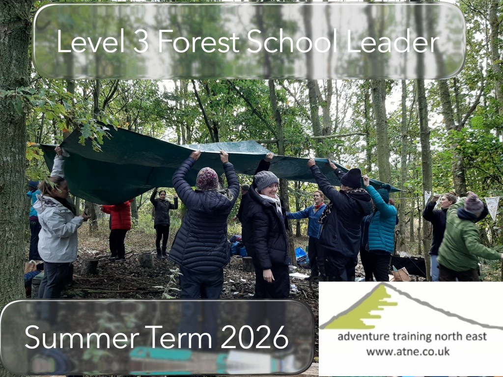 Upcoming FSA Endorsed Training and CPD courses | Forest School Association