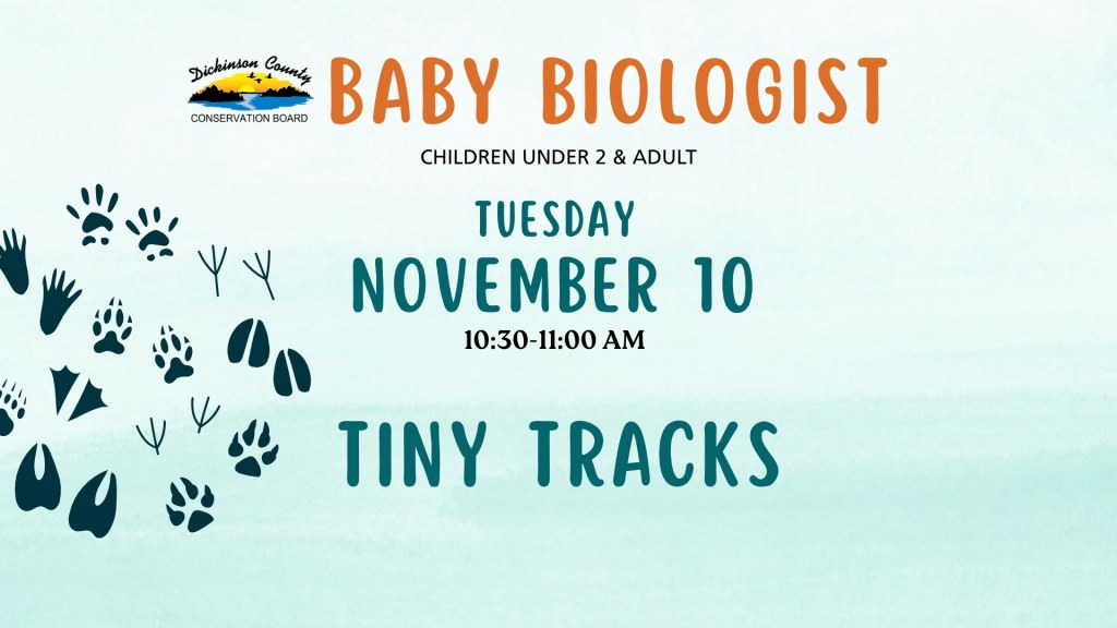 Baby Biologist: Tiny Tracks – Dickinson County Conservation Board