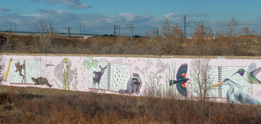 Image for Metro-Denver: Nature’s Notebook mural walk with Catie Michel